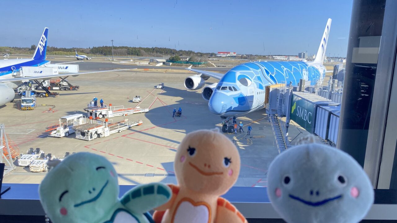 ANAが誇るFLYING HONUのコスパ抜群なプレミアムエコノミーで成田からホノルルへ